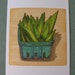 2 CARDS A009 OKRA / 5 X 7 Notecards / Vegetable Card / Vegetable Art ...