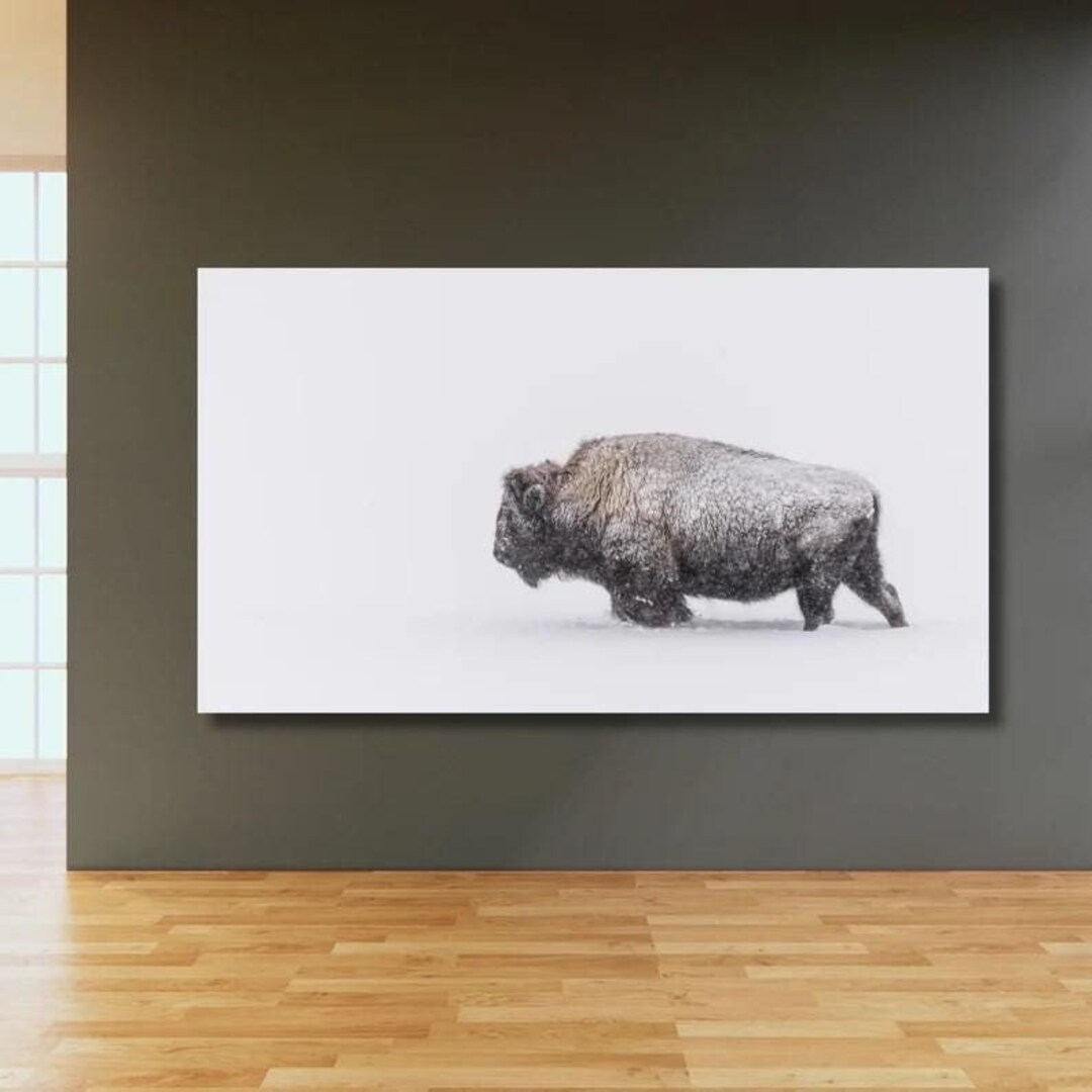 American Buffalo Canvas,american Buffalo in Snow Pictures Art,bison ...