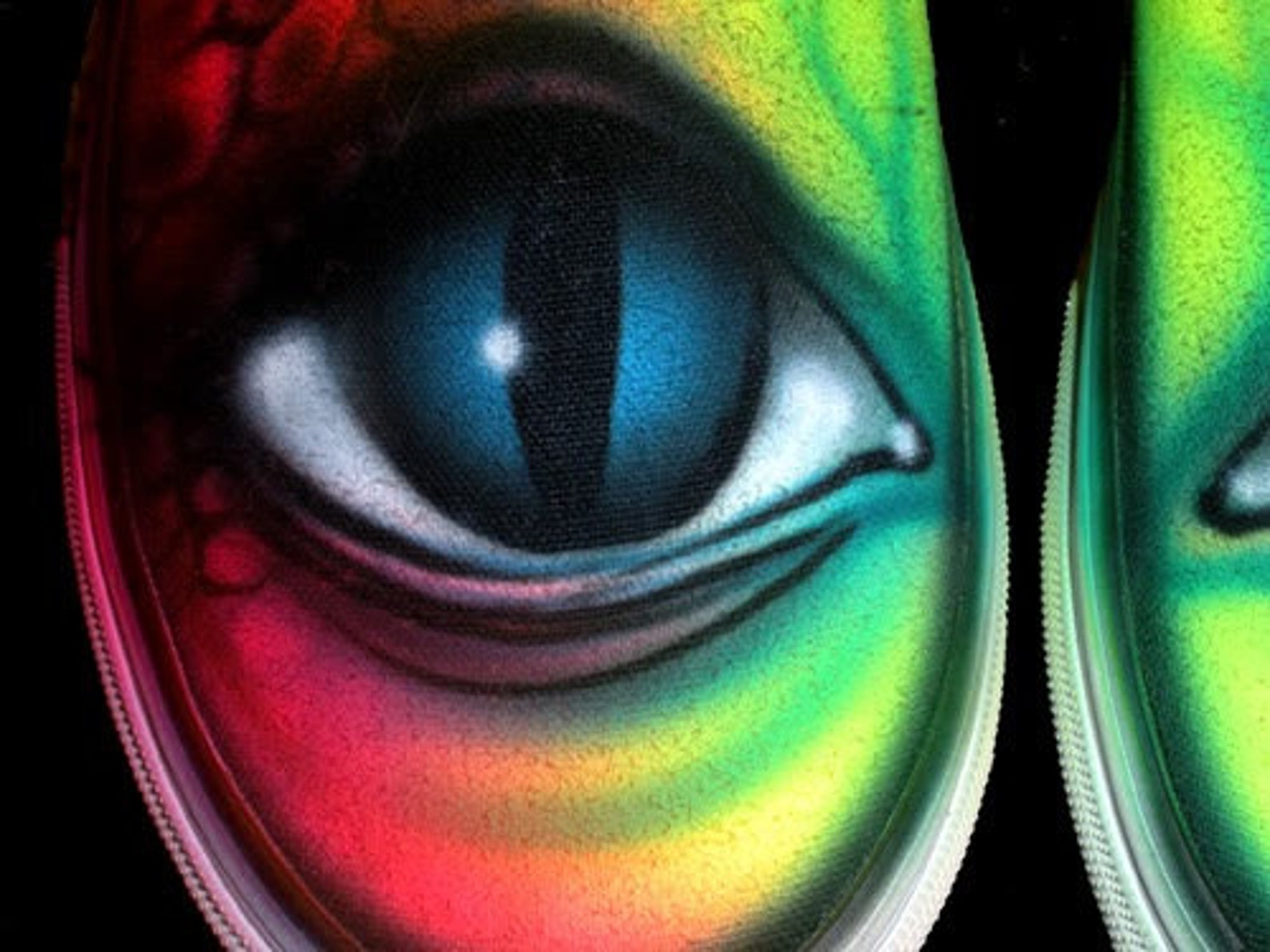 Airbrushed Airbrush Custom VANS Skate Skater Canvas Shoes Lizard Eye ...