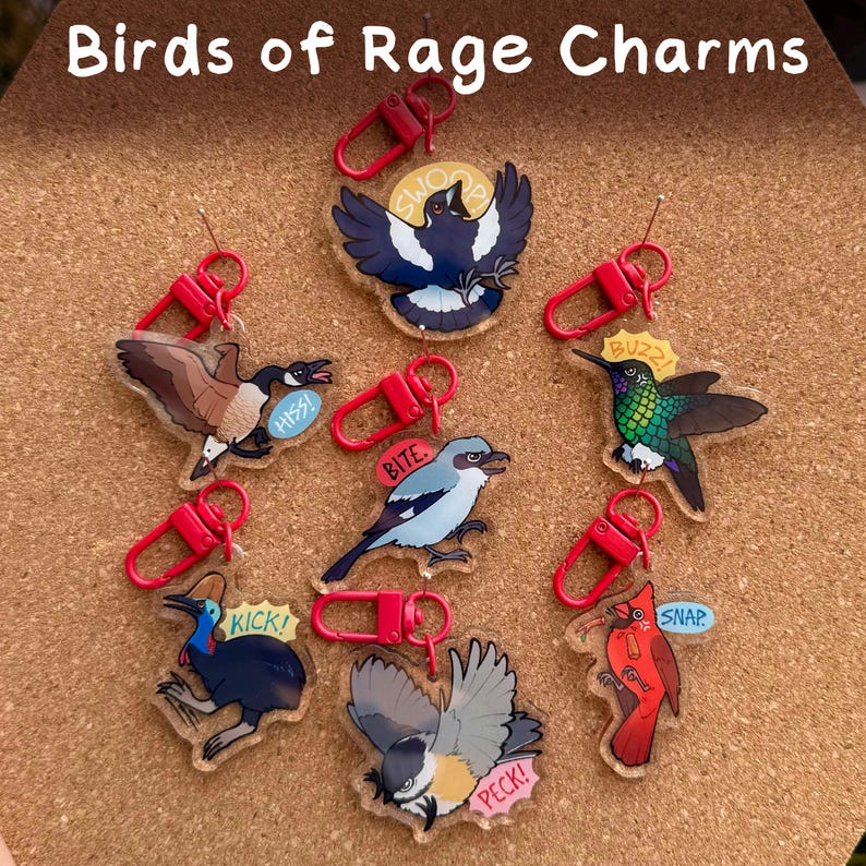 Birds of Rage Charms - Etsy