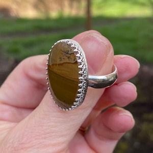 Large Oregon Owyhee Picture Jasper Statement Ring for A Man, Huge Natural Gemstone Ring ...