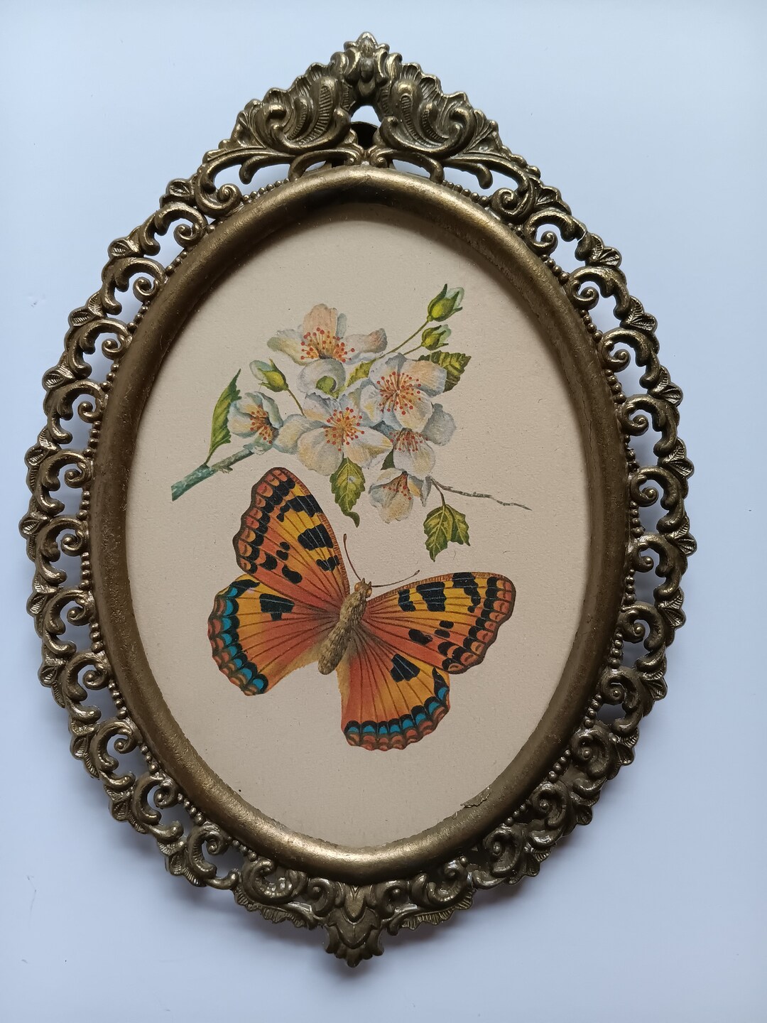 Oval Gold Antiqued Frame With Butterfly and Flower Print - Etsy