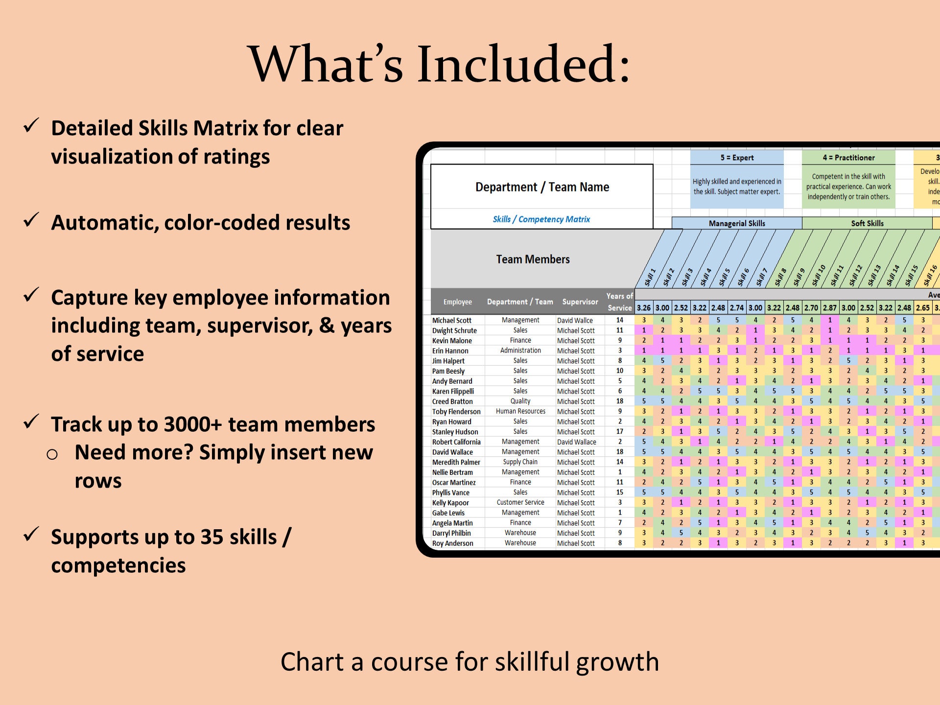 Skills Matrix Spreadsheet, Competency Template, Gap Analysis HR Tool ...