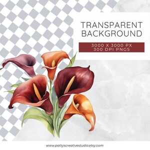 Burgundy and Rust Calla Lily Flower 1 Image Clipart Calla Lily ...