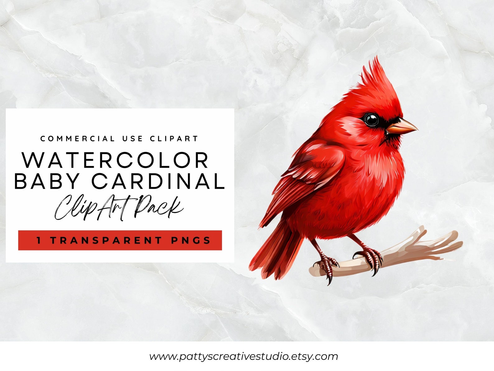 Cute Baby Cardinal Image Clipart Yellow Watercolor Cute Baby Cardinal ...