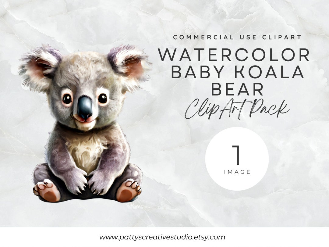 Cute Baby Koala Bear 1 Image Clipart Animal Watercolor Cute Baby Koala ...