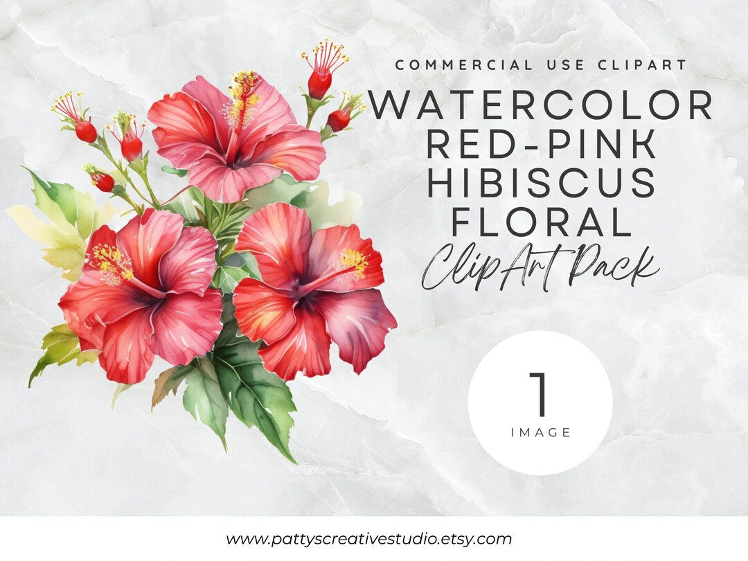 Red-pink Hibiscus Flower 1 Image Clipart Red-pink Watercolor Floral ...