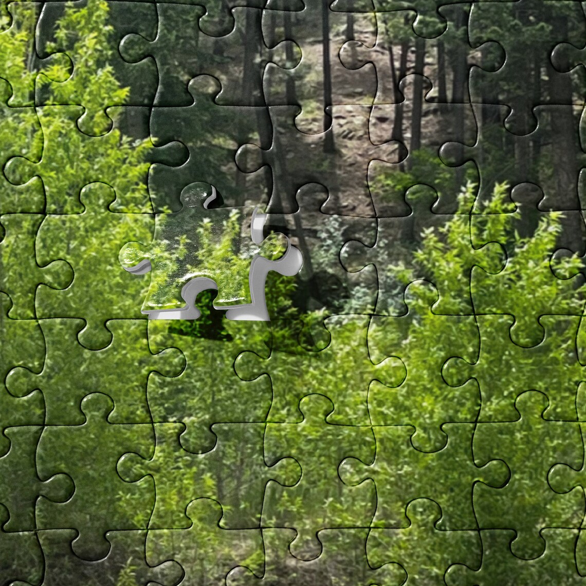 Stream and Trees Jigsaw Puzzle, Nature Scene Puzzle, Forest Landscape ...