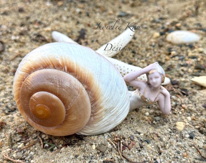 Crab Girl Art Doll Seashell Sculpture Lorelie Kay Designs Original - Etsy