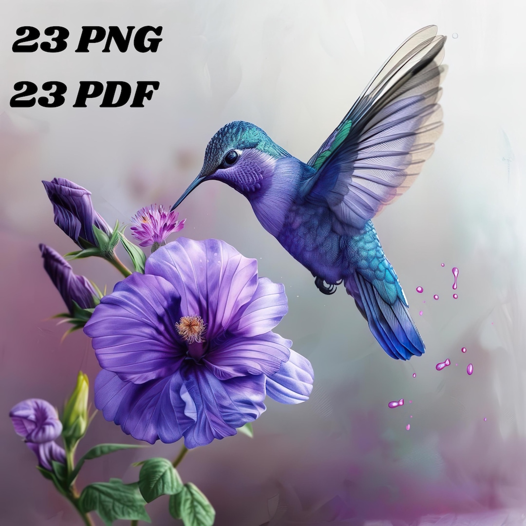 Purple Hummingbirds and Flowers Digital Art Bundle, Watercolor Digital ...