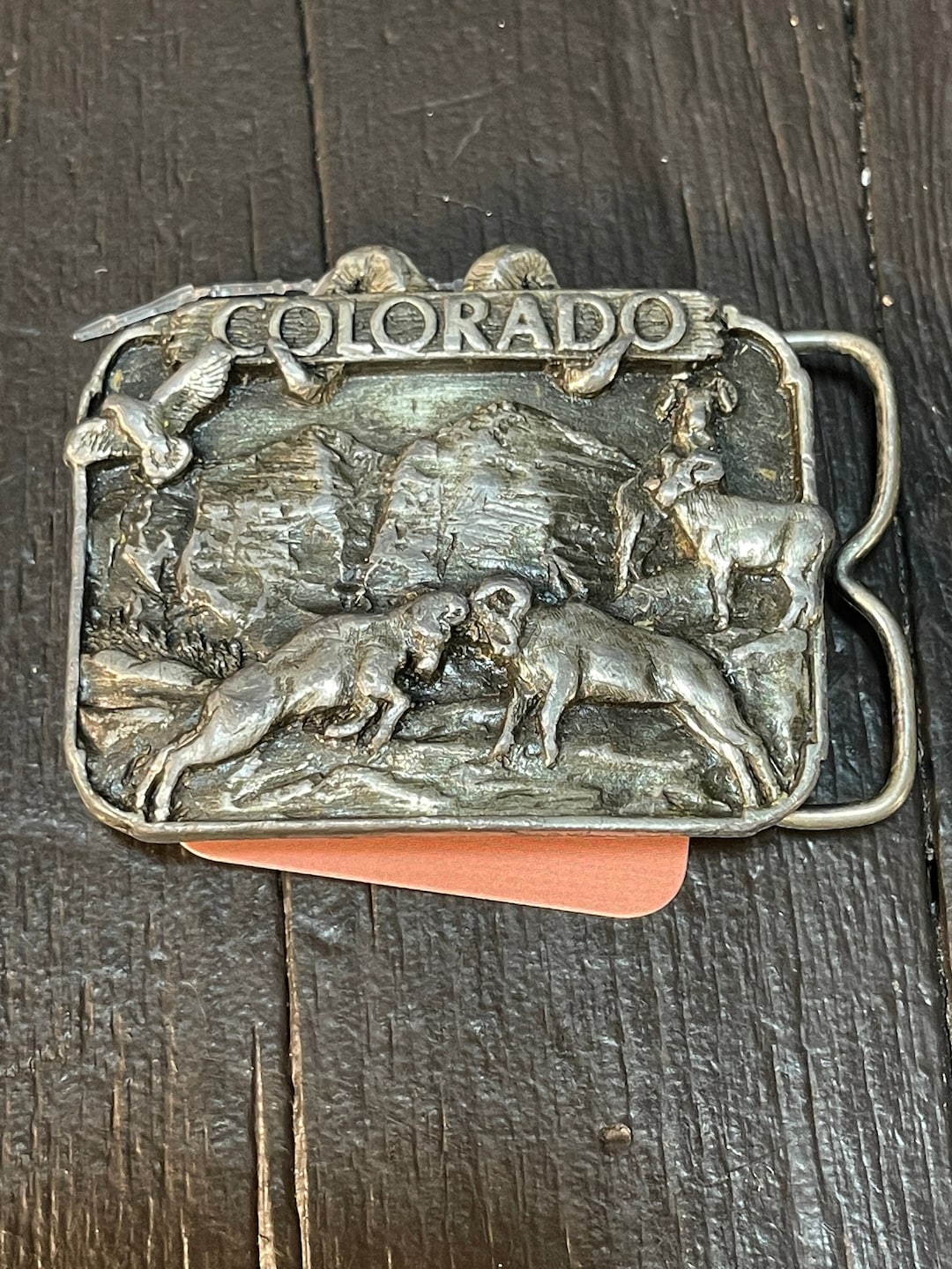 Colorado Belt Buckle, Pewter Belt Buckle, Goat Belt Buckle, Ram Belt ...