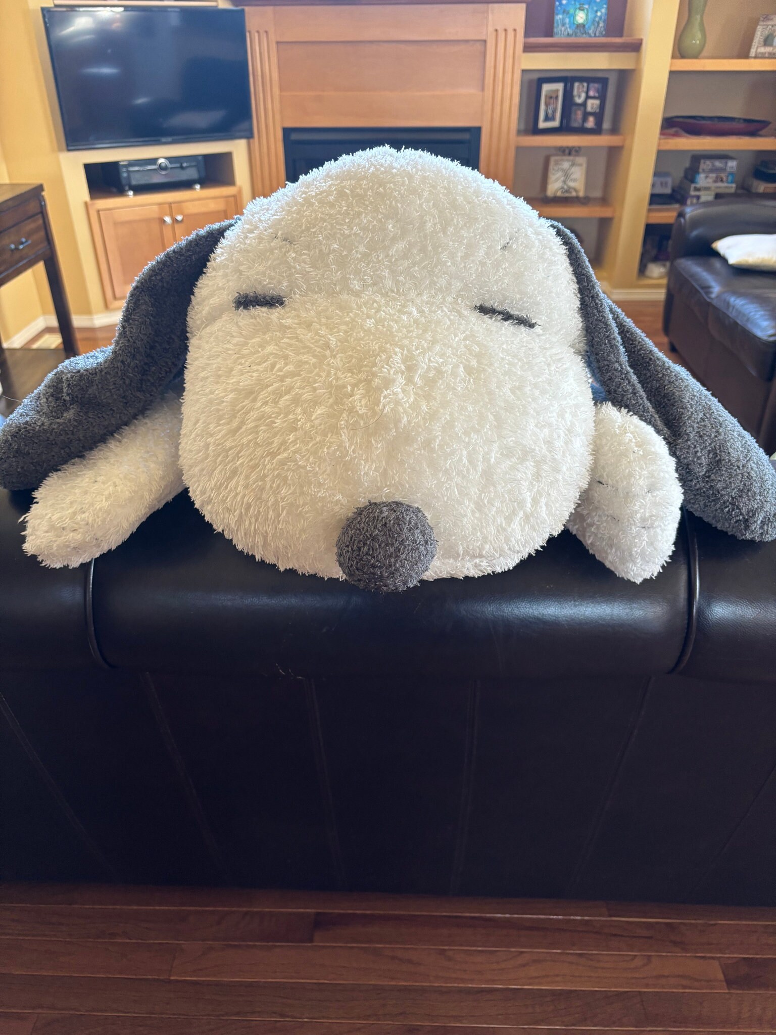 Giant Snoopy the Dog Peanuts Cartoon Plush Toy, Snoopy Dog Plush ...