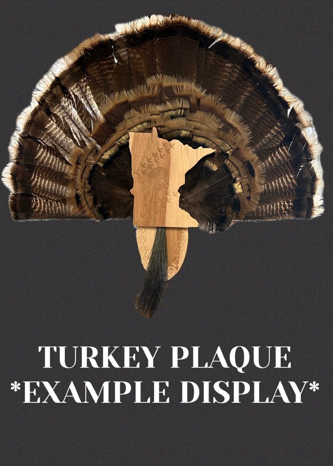 Minnesota Turkey Fan Display Plaque - Etsy