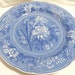 SPODE Blue Room Collection Plates, Porcelain Dinner and Salad Buyer's ...