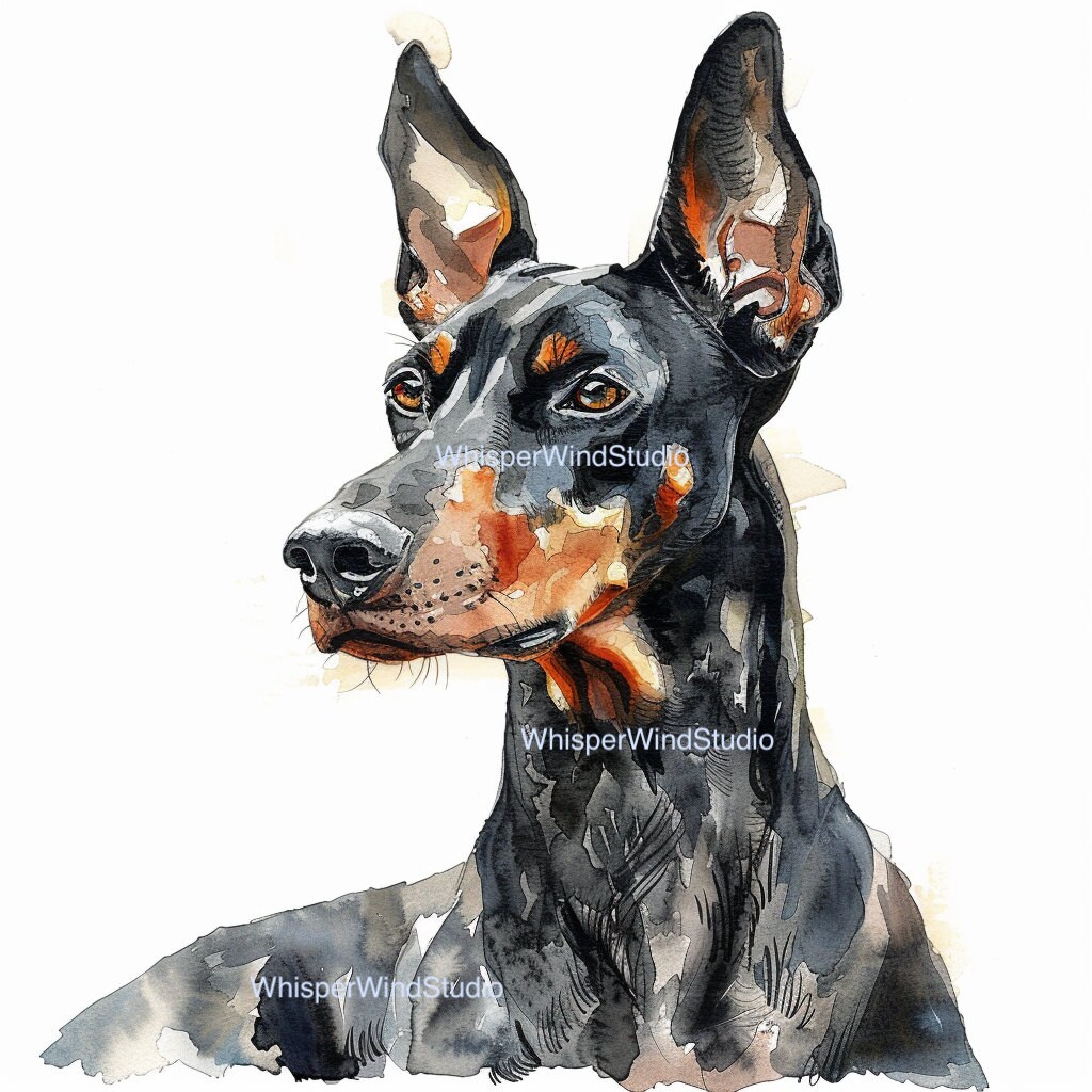 Doberman Clipart - 10 High Quality Pngs, 4096x4096, Transparent/white ...