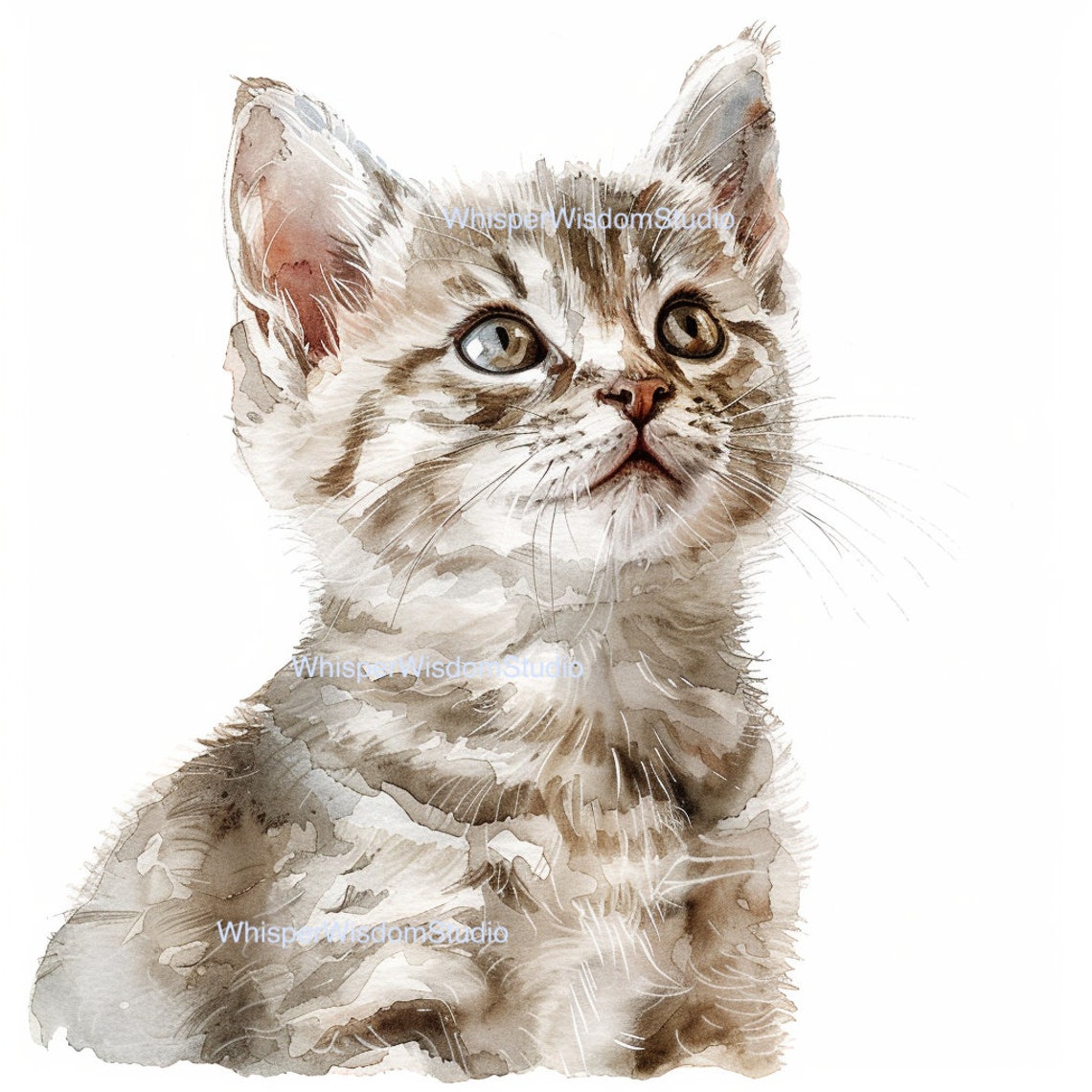 Cute Cat Clipart Bundle, Clip Art Set of 12 High Quality Pngs ...