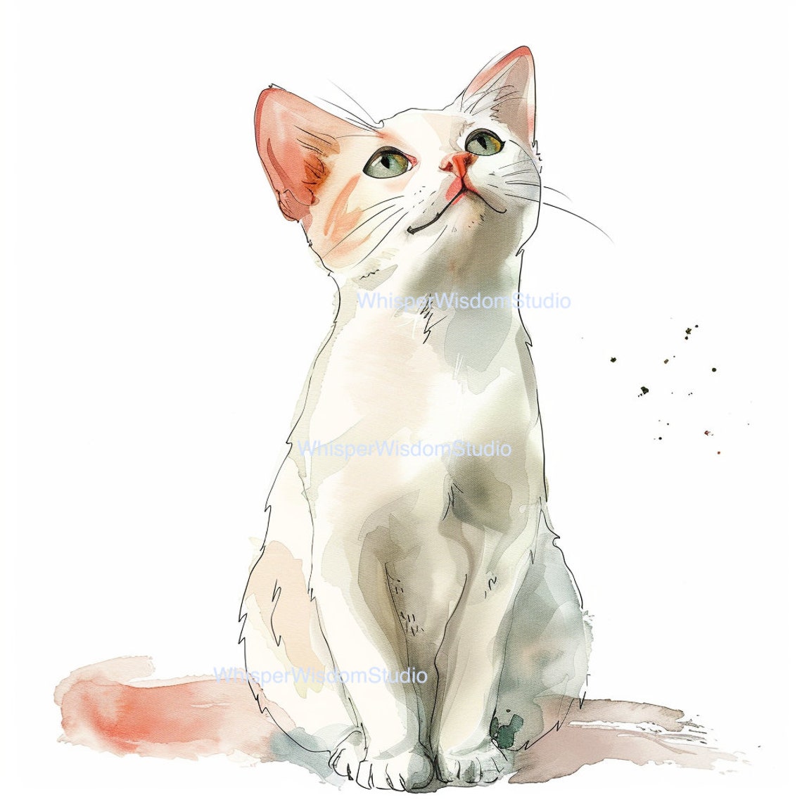 Cute Cat Clipart Bundle, Clip Art Set of 12 High Quality Pngs ...