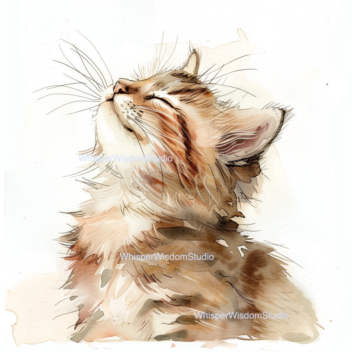 Cute Cat Clipart Bundle, Clip Art Set of 12 High Quality Pngs ...