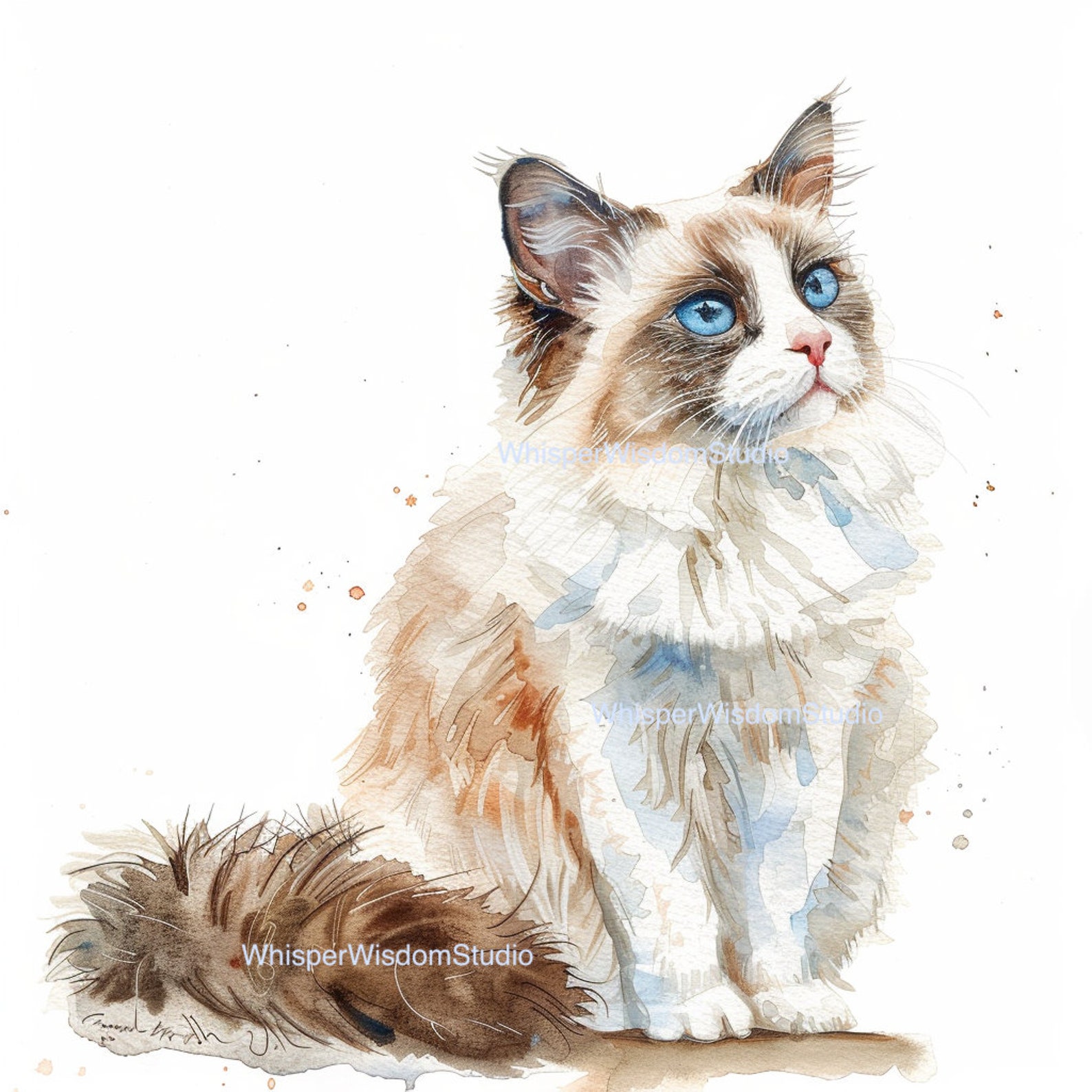 Cute Cat Clipart Bundle, Clip Art Set of 12 High Quality Pngs ...