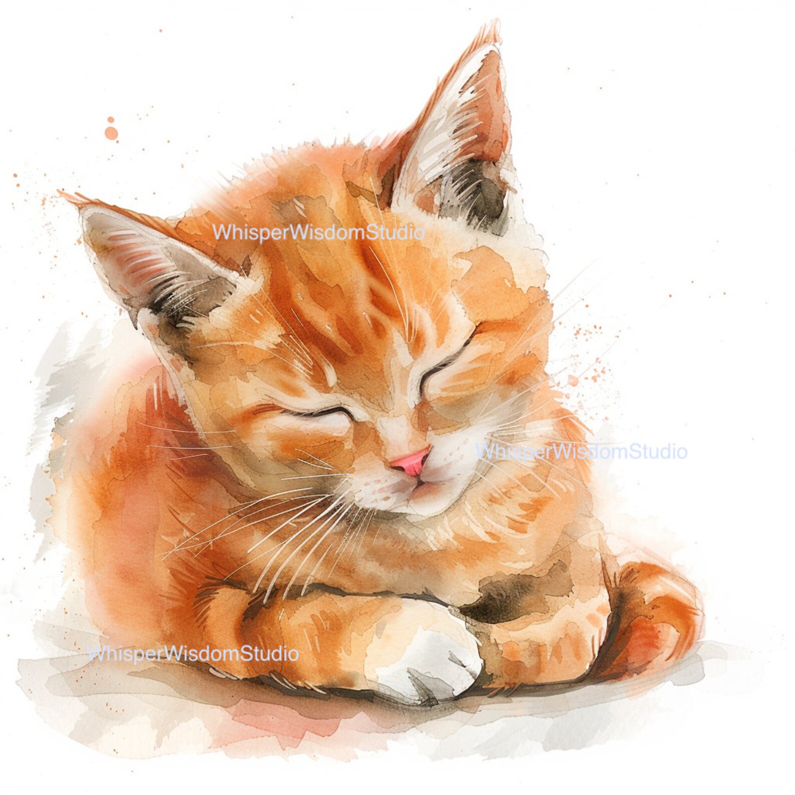 Cute Cat Clipart Bundle, Clip Art Set of 12 High Quality Pngs ...
