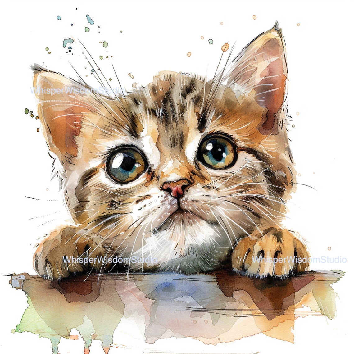 Cute Cat Clipart Bundle, Clip Art Set of 12 High Quality Pngs ...