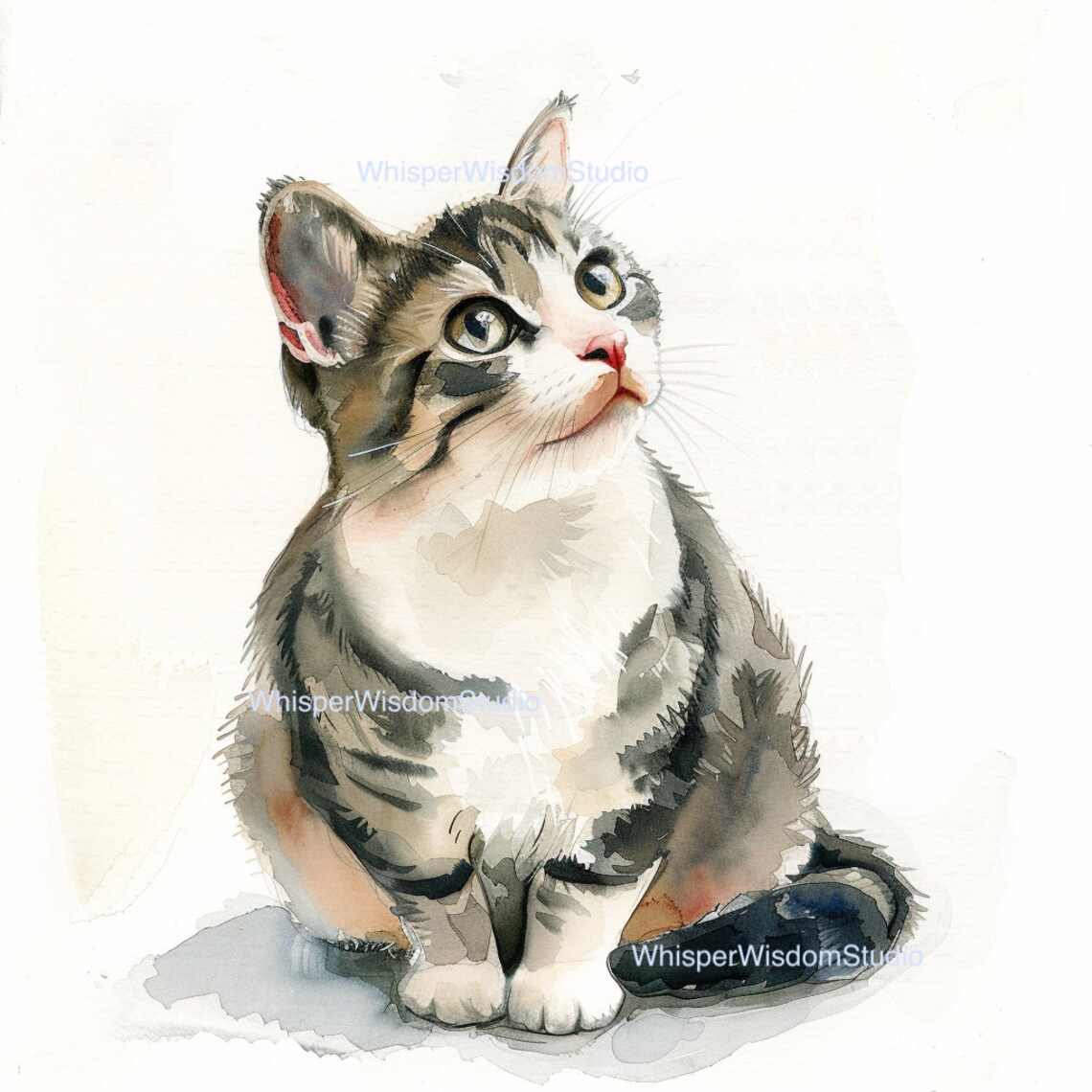 Cute Cat Clipart Bundle, Clip Art Set of 12 High Quality Pngs ...