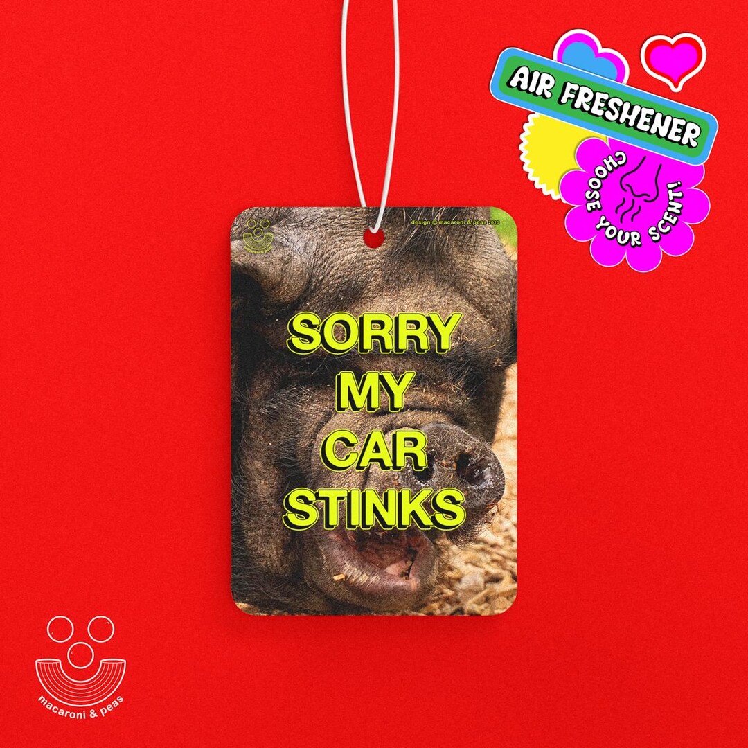 Sorry My Car Stinks · Scented Car Air Freshener · Choose Your Fragrance ...