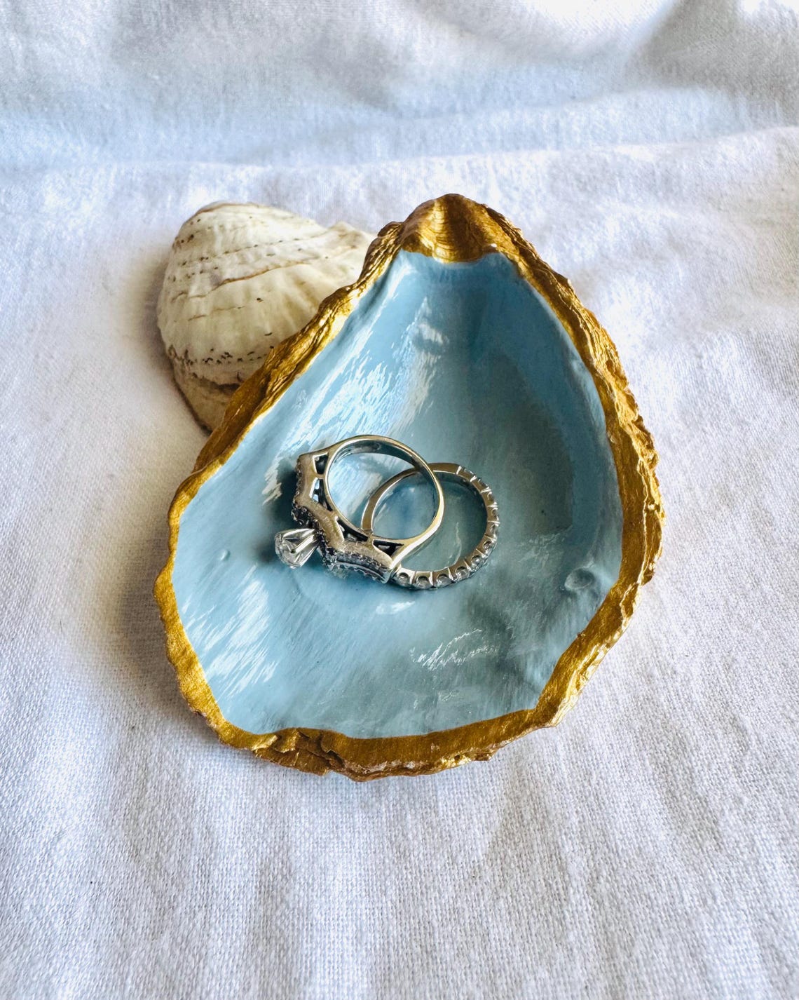 Blue Oyster Shells (bulk)- Unique Wedding Favors/place Cards - Trinket ...