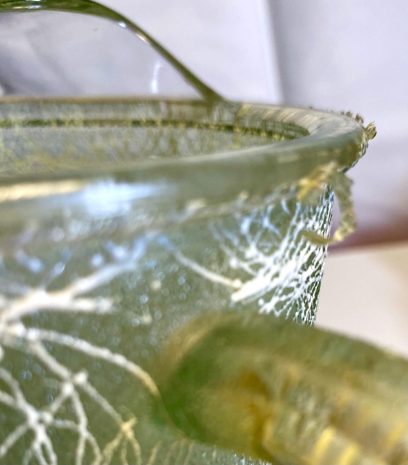Vintage Spaghetti String Glass Pitchers, Set of Two - Etsy