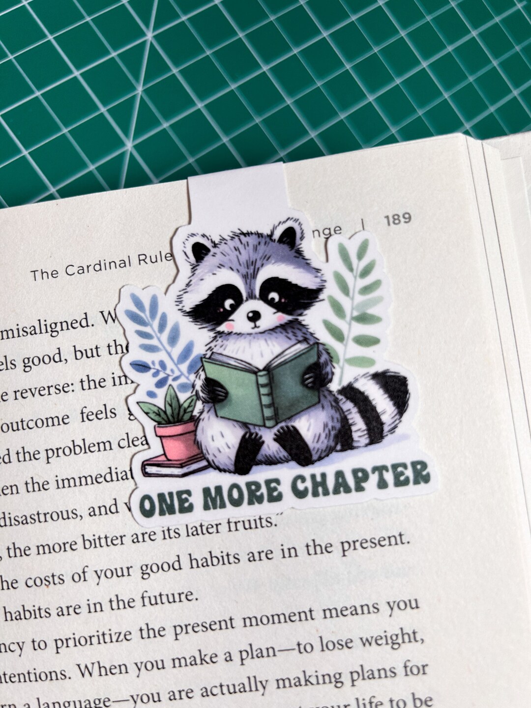 One More Chapter Racoon Magnetic Bookmark, Book Accessories, Book ...
