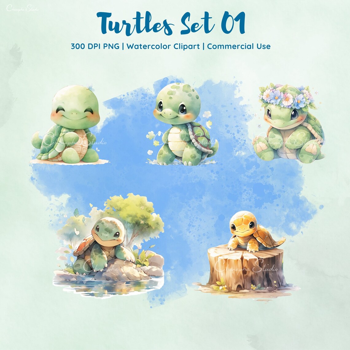 Cute Turtle Watercolor Clipart Set Transparent Background, High ...