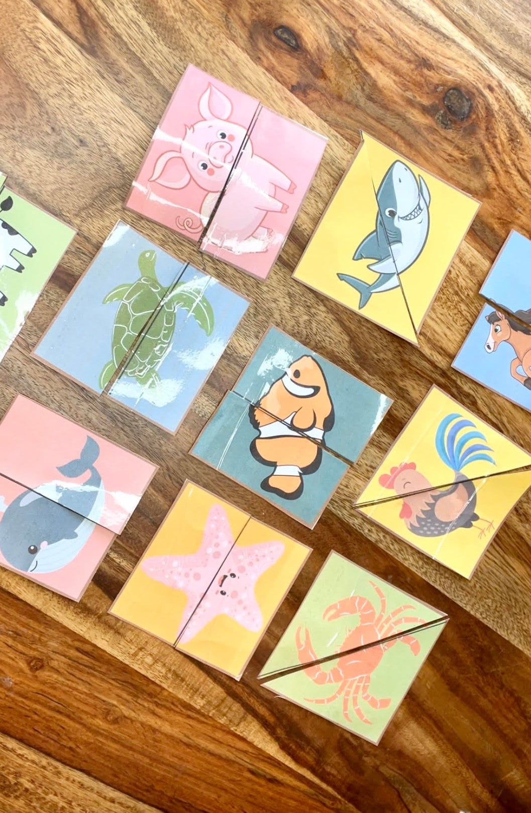 Downloadable Easy Toddler Puzzle Printables, 32 Pieces, 16-2 Piece ...