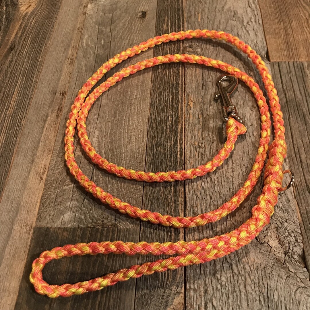 Paracord Leash - Four Strand Braid - Etsy
