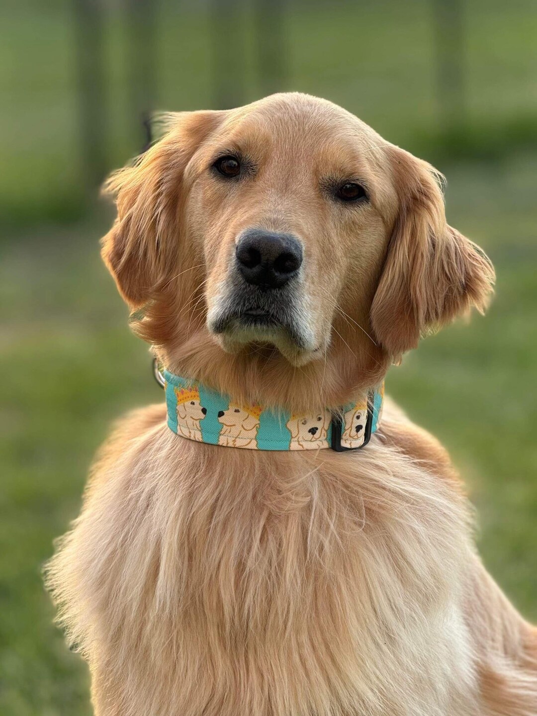 Custom Dog Collars, Design Your Own Woofs for Wildlife Collar, Choose ...