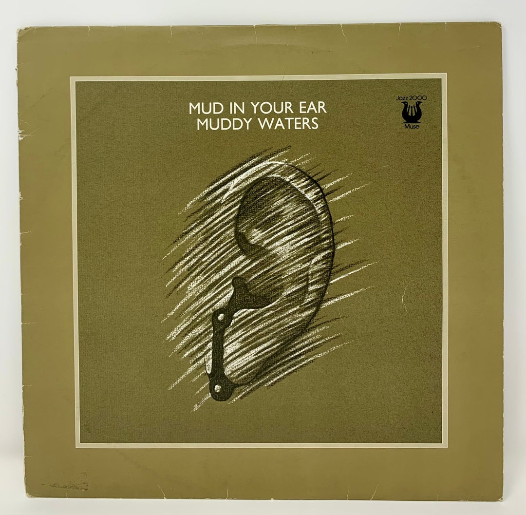 Rare Authentic 1973 Muddy Waters Mud in Your Ear VG Vinyl LP Happy Bird ...