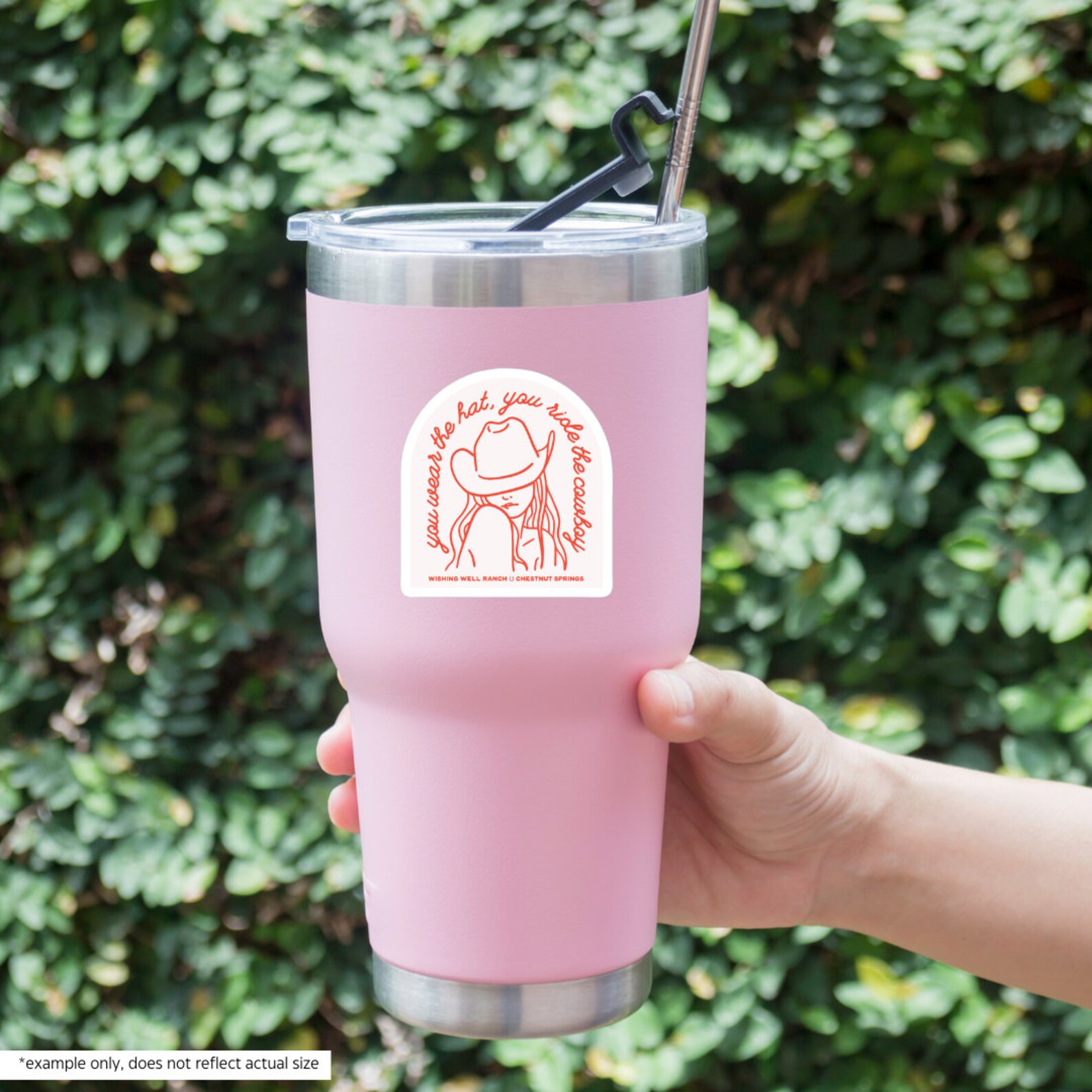 Chestnut Springs Sticker, Wear the Hat Ride the Cowboy, Elsie Silver ...