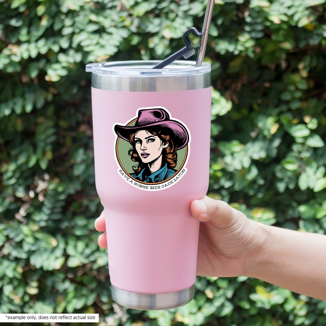 Chestnut Springs Sticker, Cade Eaton, Elsie Silver, Wishing Well Ranch ...