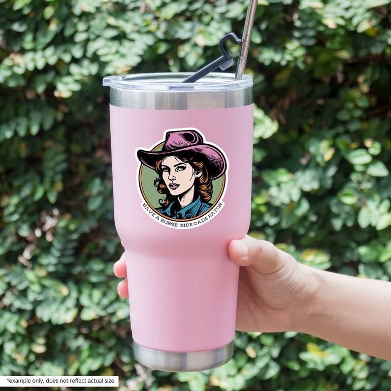 Chestnut Springs Sticker, Cade Eaton, Elsie Silver, Wishing Well Ranch ...