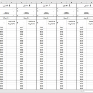 Organize Your Finances With Excel Loan Payment Tracker Template - Etsy