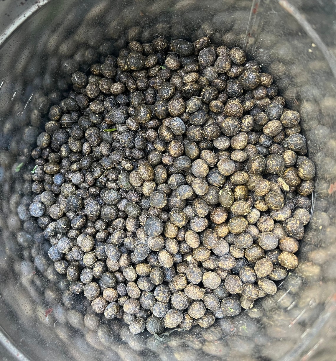 Dried Organic Rabbit Manure Bunny Fertilizer Poop for Your Garden - Etsy