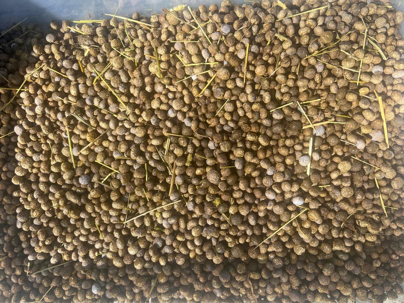 Dried Organic Rabbit Manure Bunny Fertilizer Poop for Your Garden - Etsy