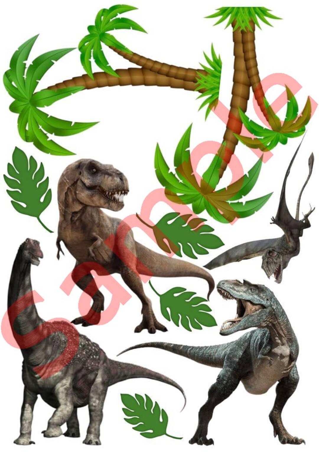 Dinosaur Photo Edible Wafer&icing A4 Cake Topper Birthday Decorations ...