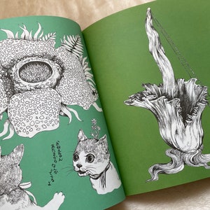 YUKO Higuchi MUSEUM Coloring Book - Japanese Coloring Book - Etsy