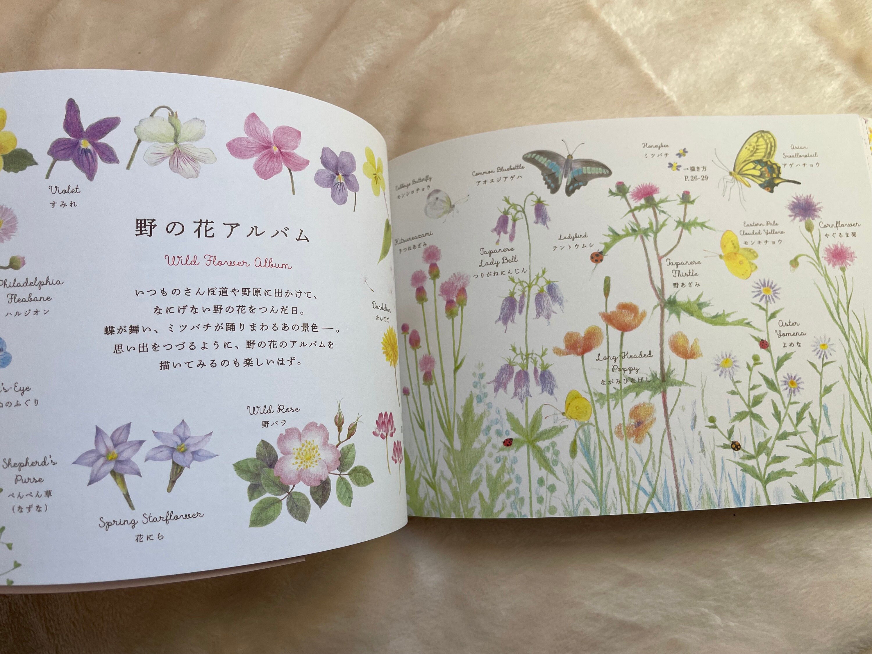 How to Draw 12 Months Pretty Motifs and Flowers With Colored Pencils ...