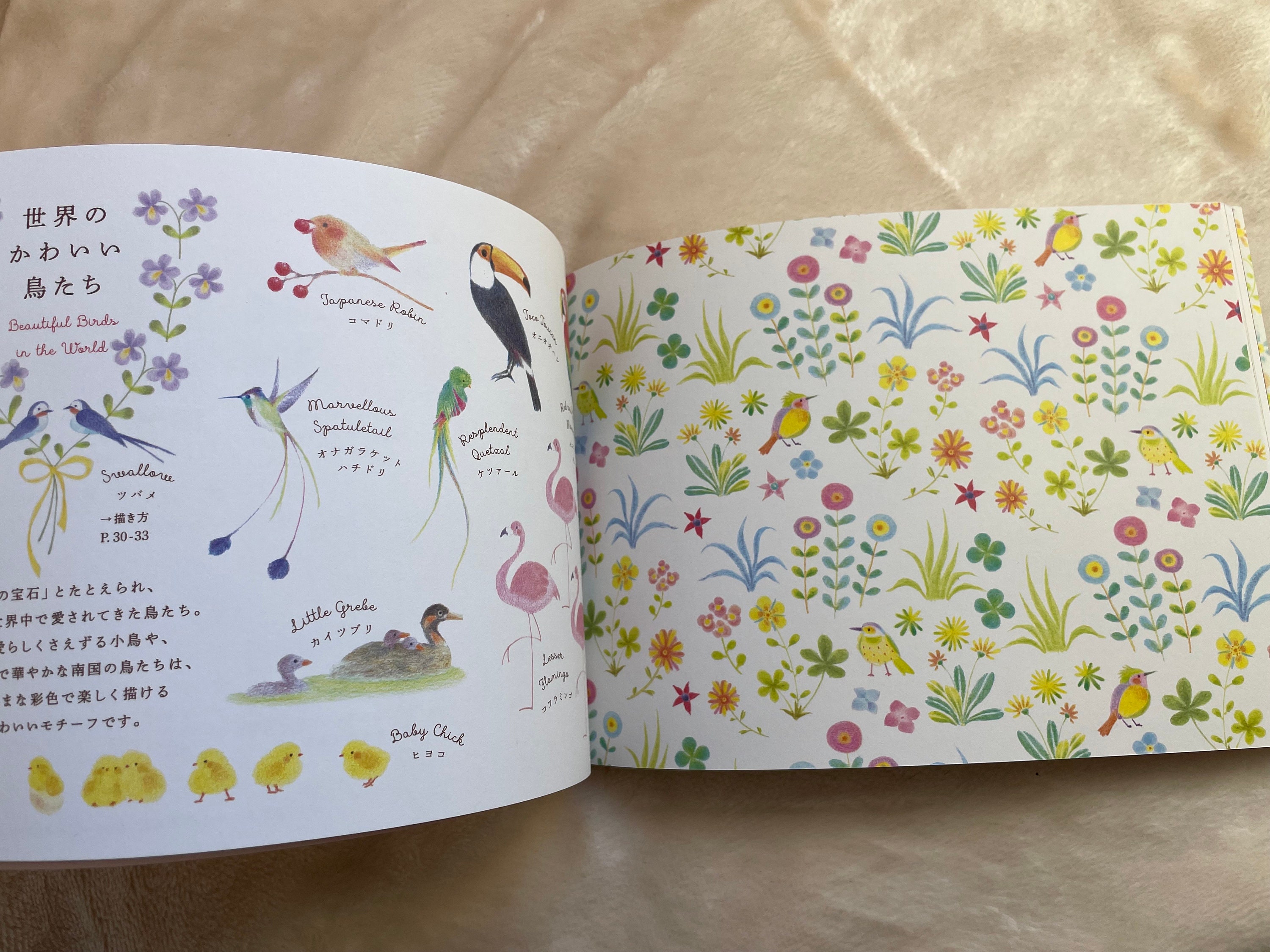 How to Draw 12 Months Pretty Motifs and Flowers With Colored Pencils ...