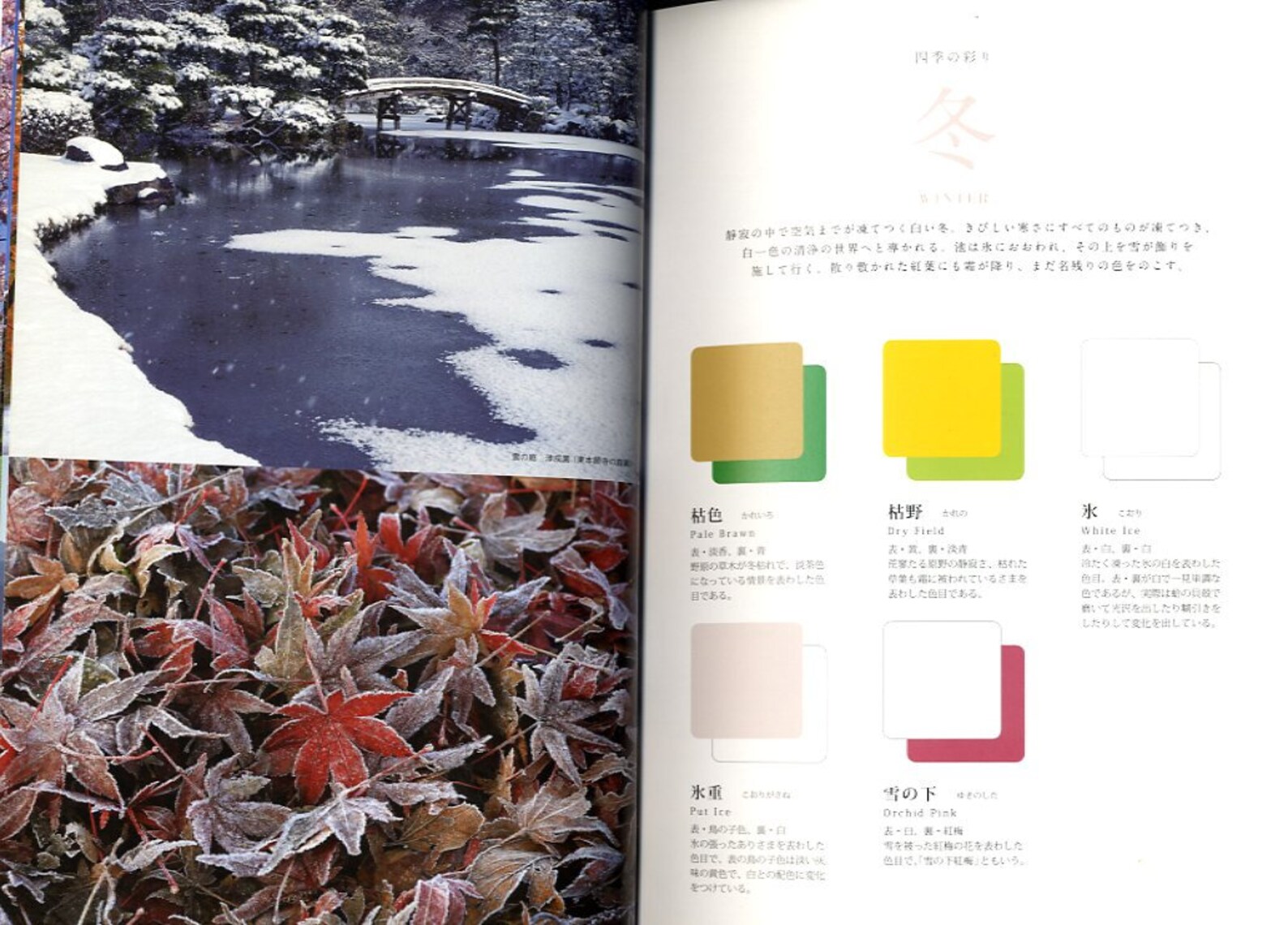Traditional Japanese Color Palette Japanese Color Reference - Etsy