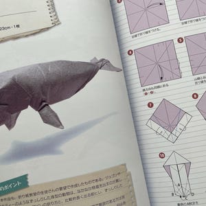 Real Origami Creatures in Water - Japanese Craft Book - Etsy