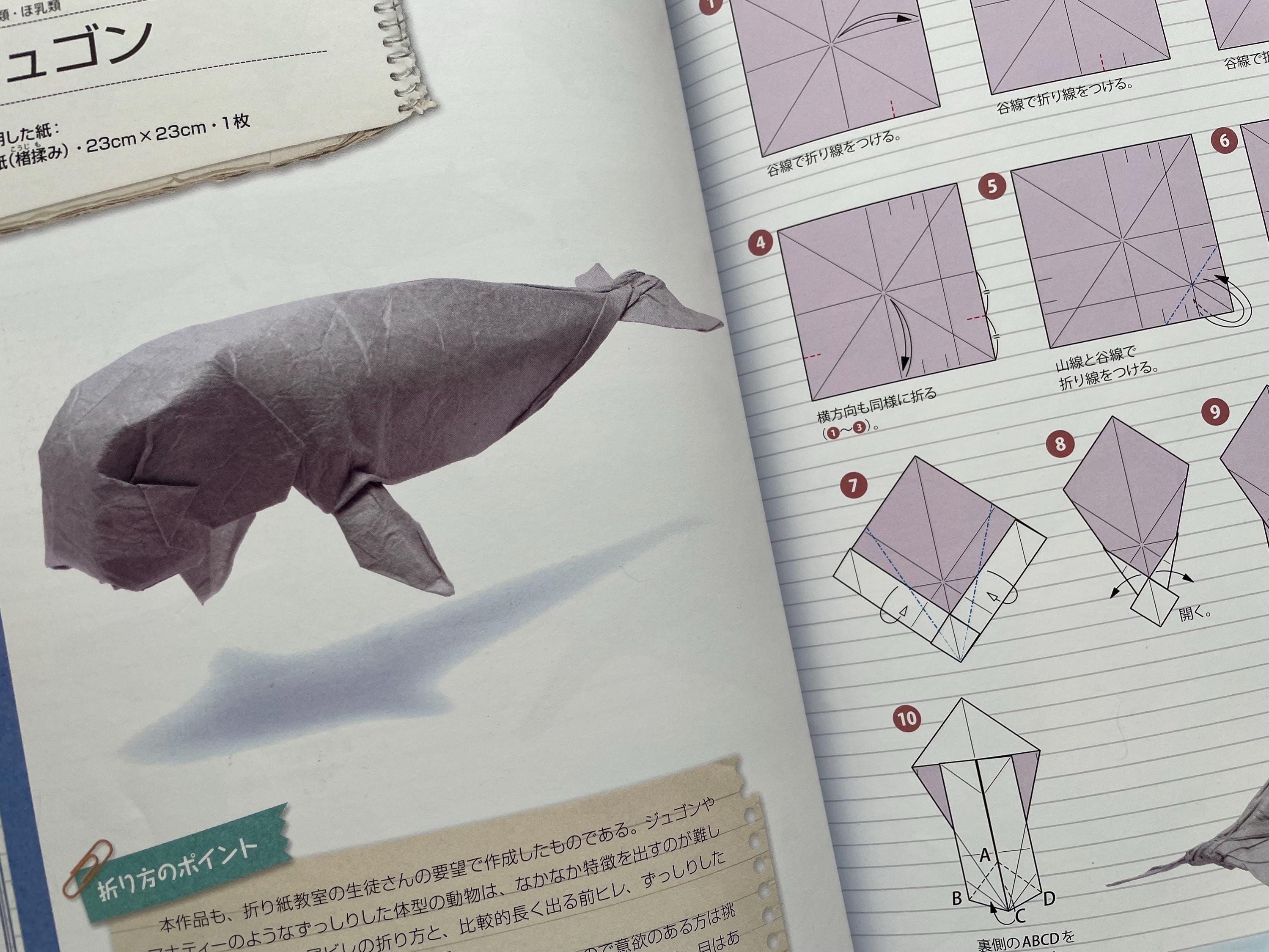 Real Origami Creatures in Water - Japanese Craft Book - Etsy
