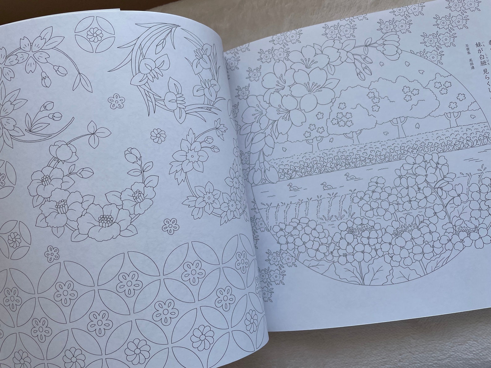 Traditional Japanese Flowers and Elegant Waka Poems Coloring Book ...