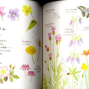 How to Draw 12 Months Pretty Motifs and Flowers With Colored | Etsy